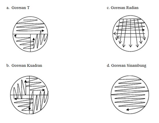 Dunia Ilmu dan Teknologi: ISOLASI MIKROBA
