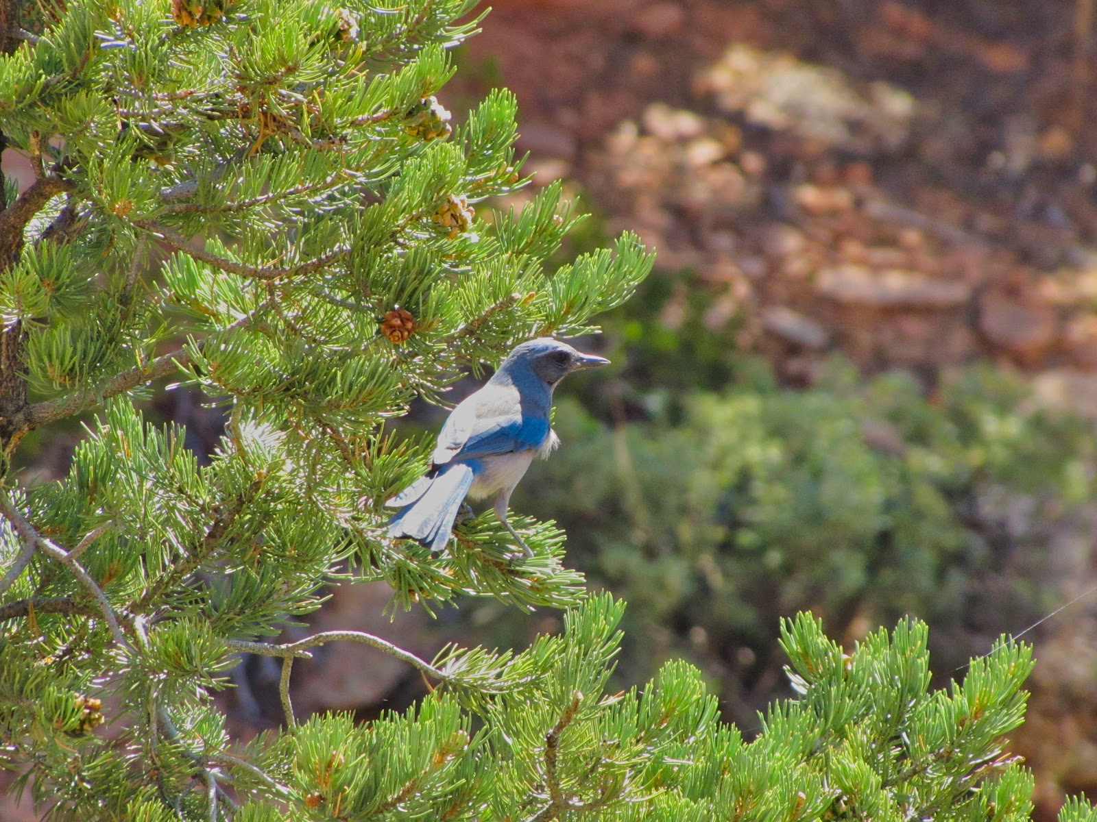 To Behold the Beauty: 10/1/11 - 11/1/11