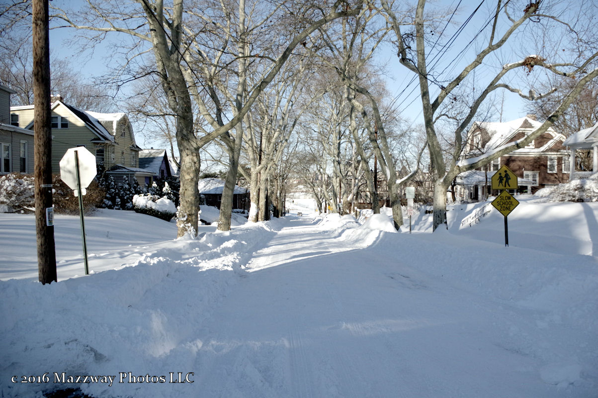 Bogota Blog NJ: Snow Photos