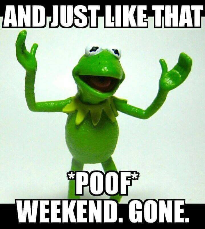 Skip's House of Chaos: Happy Monday, Little Ducks!