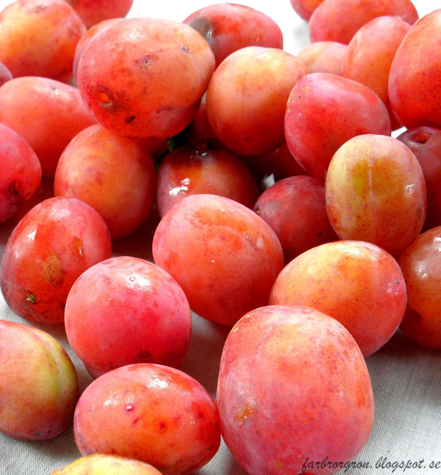 Farbror Grön: Plommonsylt