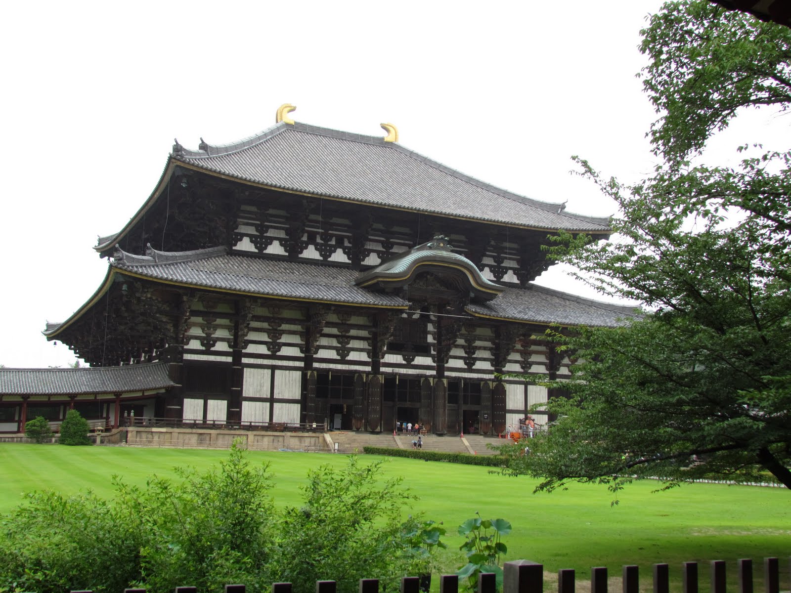 Anna in 日本: Nara and Kyoto