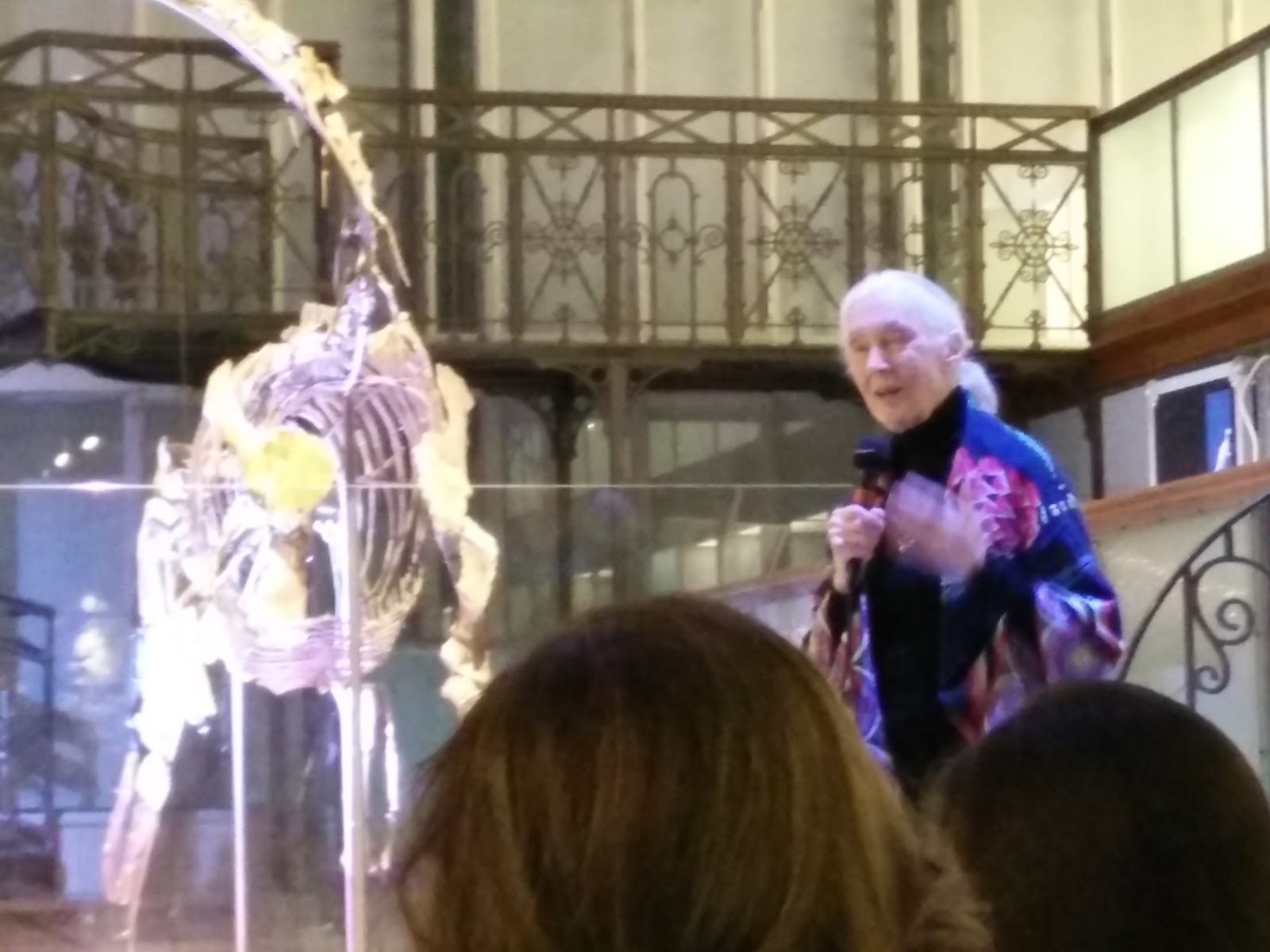 Jane Goodall film and gala | Louis-Philippe Loncke - Versatile Explorer ...