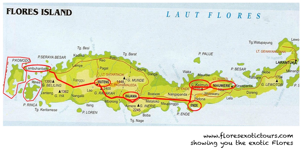 Journey of Life: FLORES, Pesona Kota Dingin BAJAWA