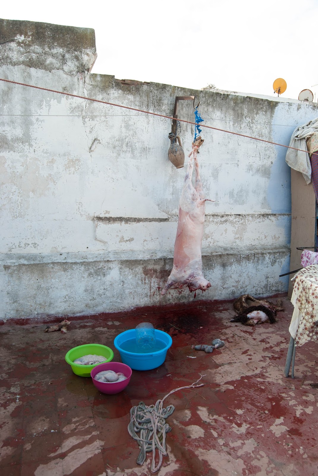 Finding the Lovely: {Hawli}