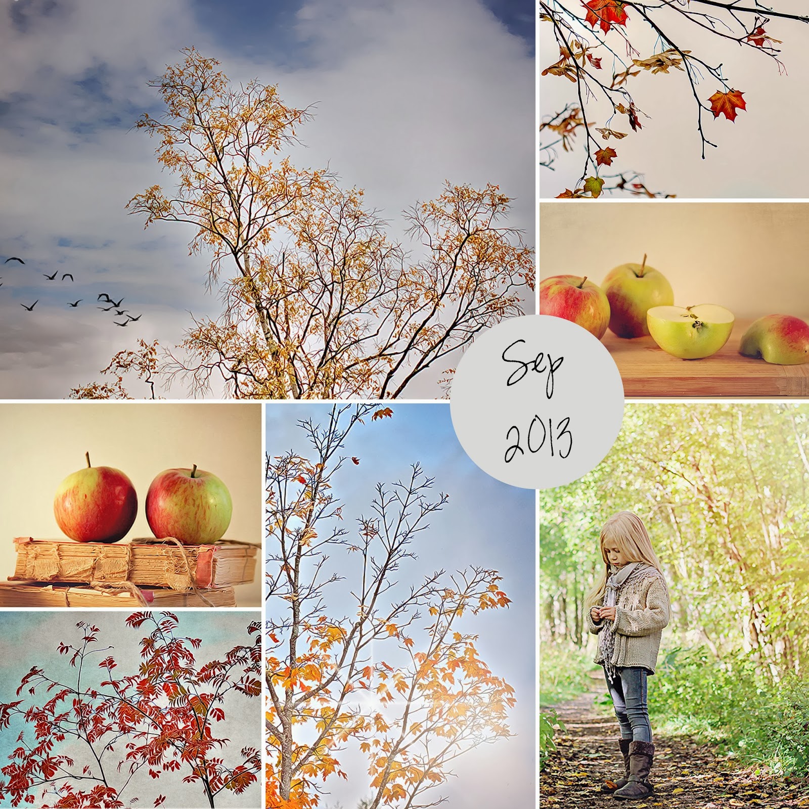 Mona's Picturesque: A Year in Photos {December 2014 along with the ...