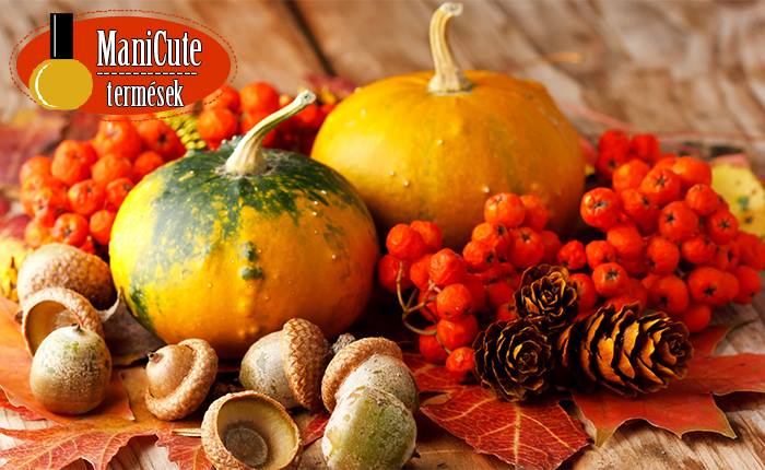 Angel Design : ManiCute - Őszi termések