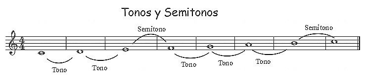 🎵🎷MUSICARDALES🎤🎵: Tonos y semitonos