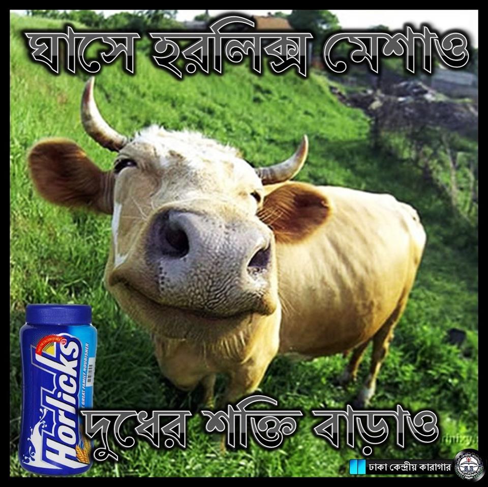 Bangla jokes | Bangladeshi Jokes photo image - WapDesh.Com
