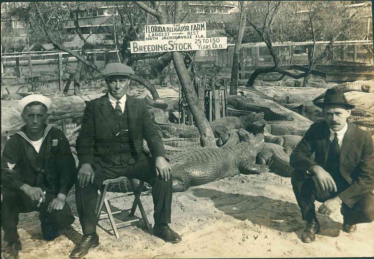 The Circus "NO SPIN ZONE": 09/27/11