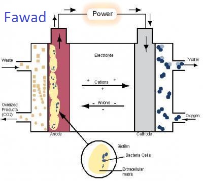 Electrical Engineering: Electricity from Bacteria
