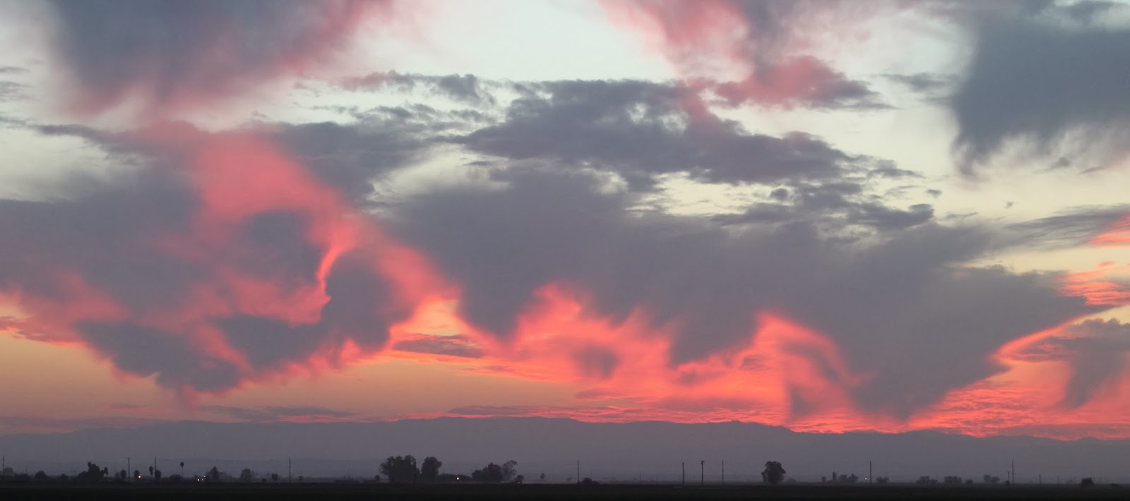 Ty and Ida On the Road: The Southern California Desert