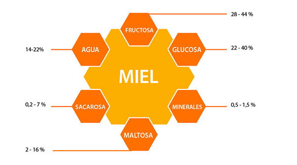 Aprendiendo de la Apicultura : LA MIEL, UN PRODUCTO NATURAL ELABORADO ...