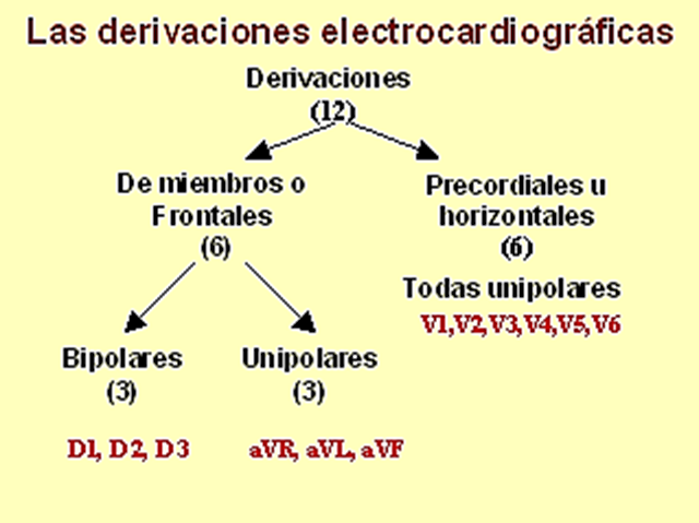 Anatomia y Fisiologia UNICAES2015: Electrocardiograma