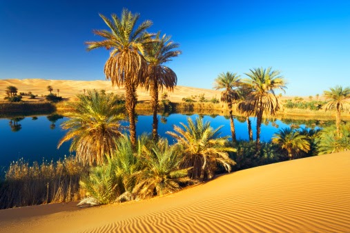 Naija AgroNet: UAE adds to 2 to ecosystems heritage sites