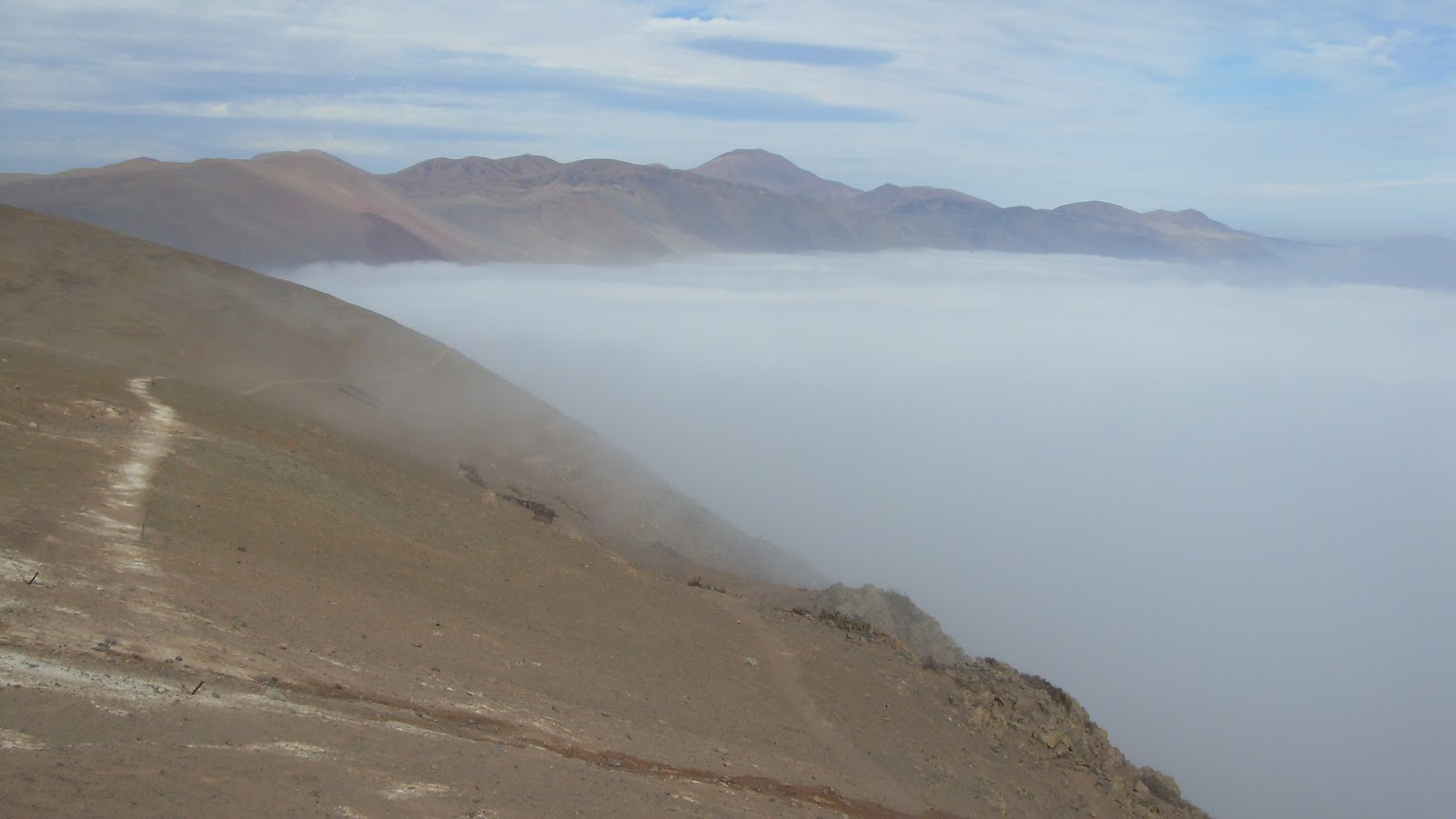 Eco-antropología: Un hecho memorable en el oasis de niebla de Alto ...