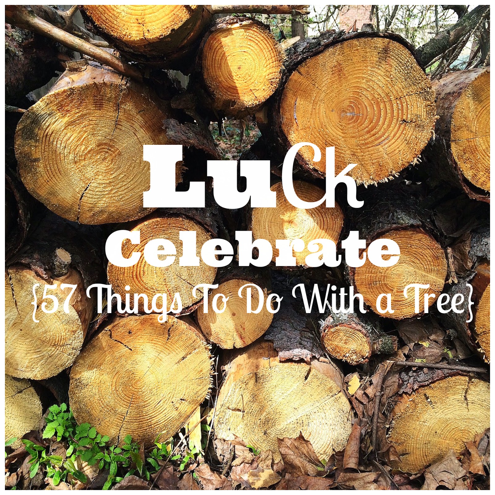 LuCk: Celebrate {57 Things To Do With a Tree}*