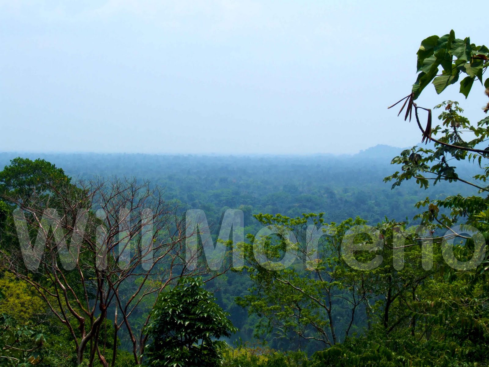 Platinum International Real Estate and Investments - Belize Division ...