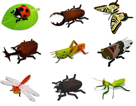 BLOG DO "VOINHO": CONHECENDO O CICLO VITAL DOS INSETOS