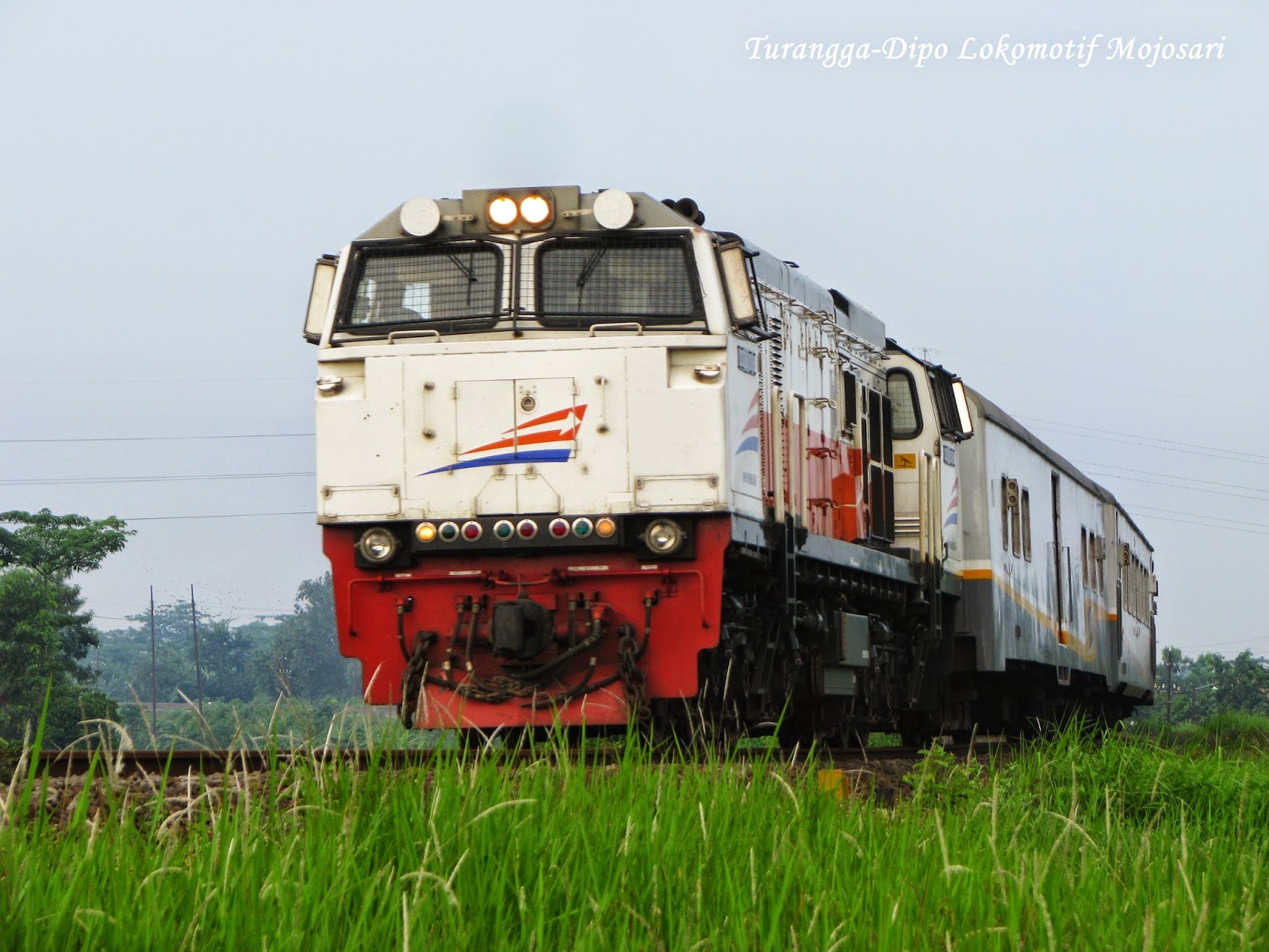 Kereta Api Indonesia: Pesona Keindahan Rangkaian KA Turangga Saat ...