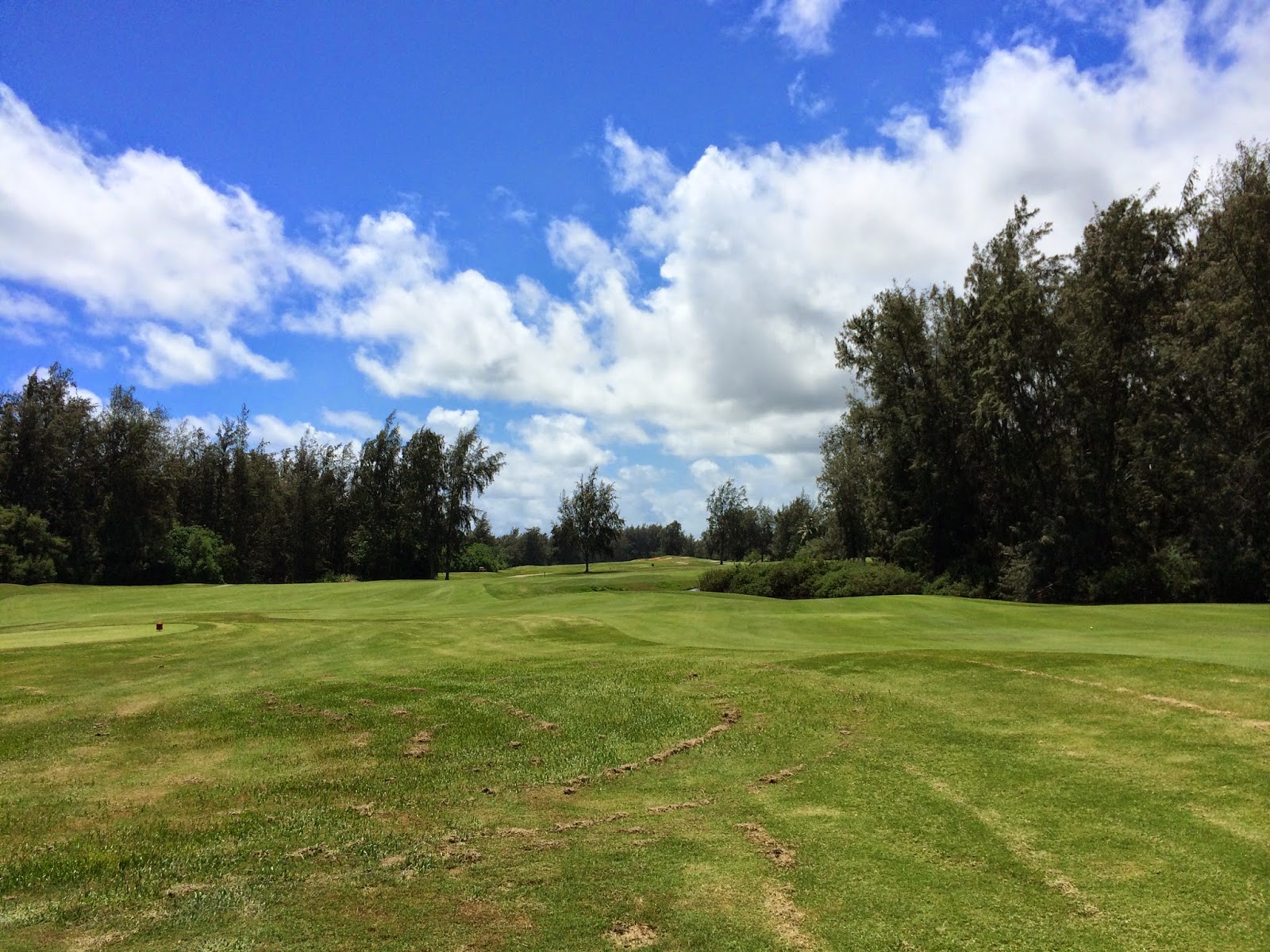 TASTE OF HAWAII: TURTLE BAY GOLF RESORT - THE PALMER COURSE