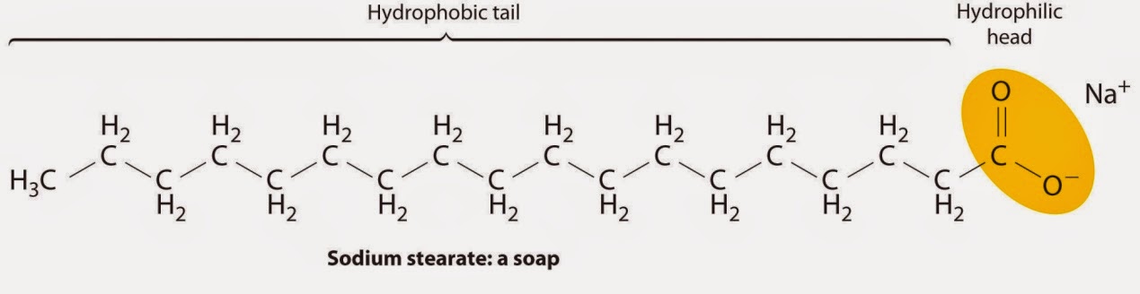 Soap and Detergent: Soap & Detergent