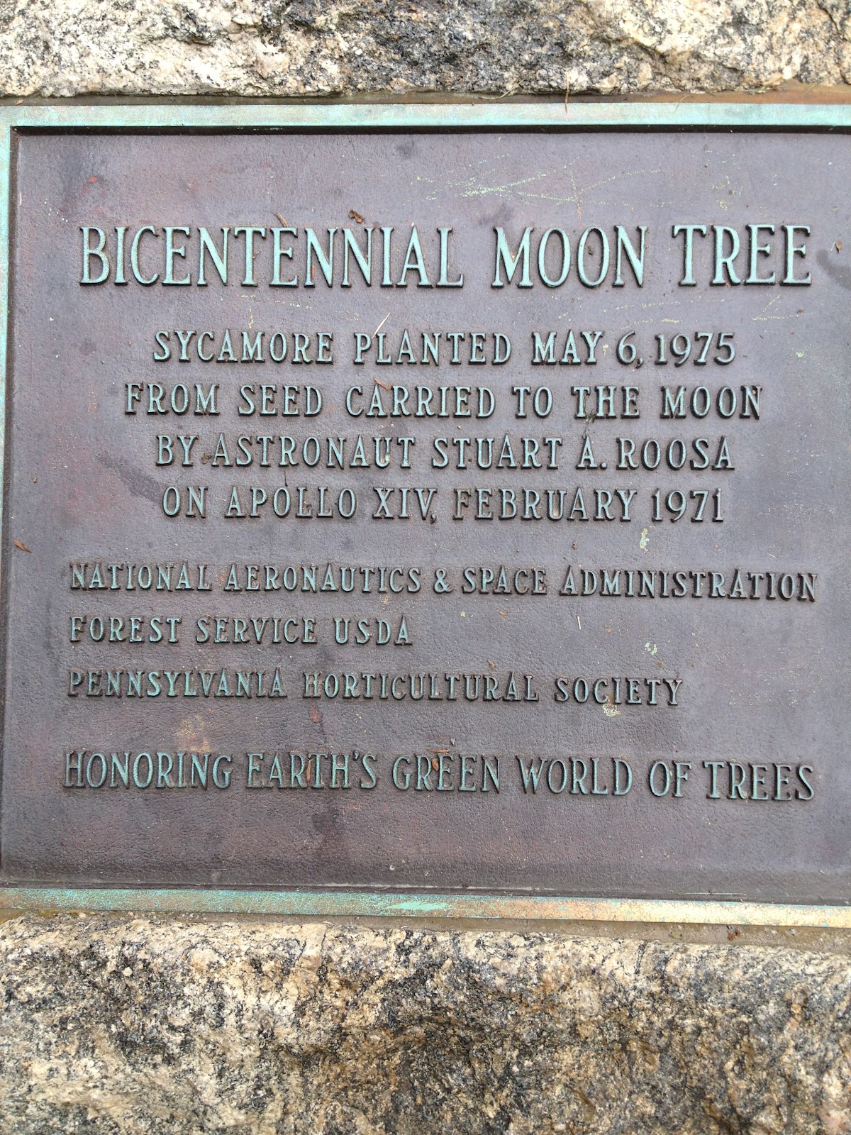 PHILLY TREES: PIONEER TREES