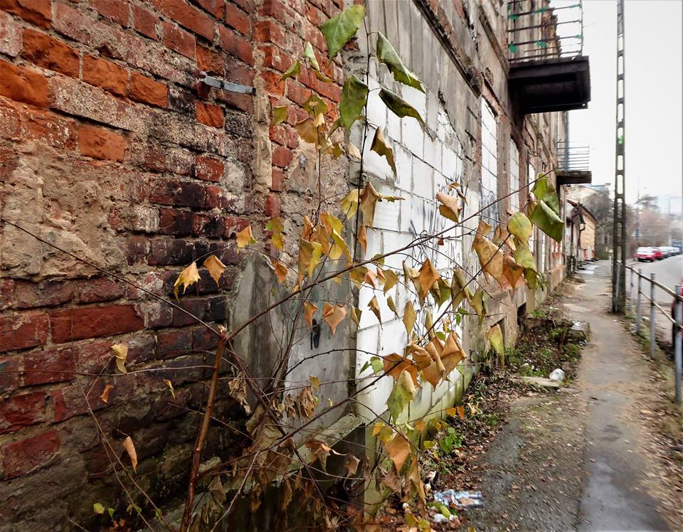 Impresje codzienne: 2018