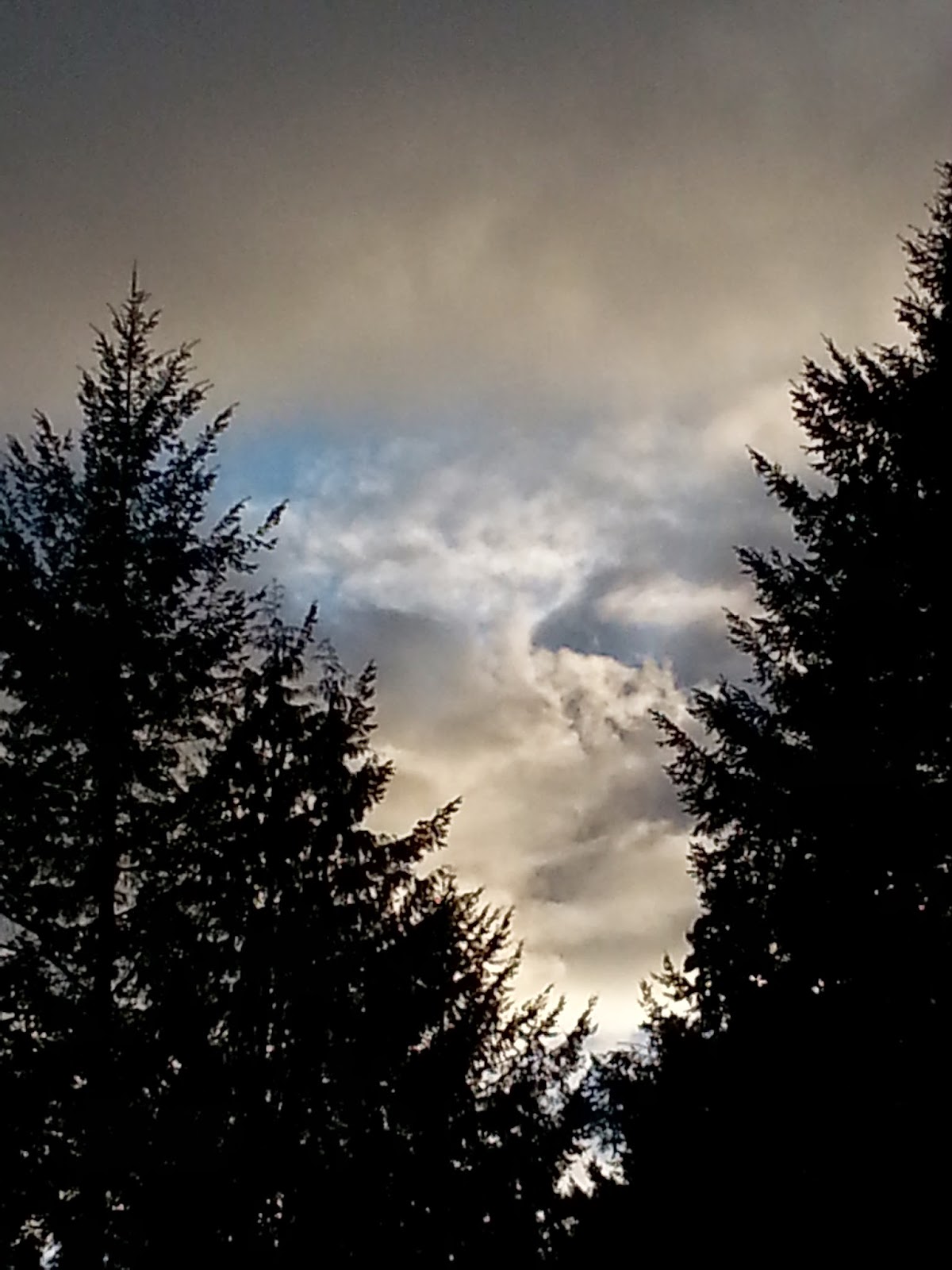 Lioness in Exile: August 2014