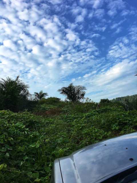 Tengkil Falls - An Off-Road Adventure To Hidden Waterfall | Catchingtravels