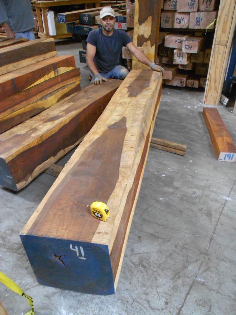 Tropical Exotic Hardwoods: HUGE Cocobolo log, about as rare as they get!!!