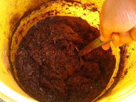 Practical Gardening: Easy Homemade Fish Emulsion Fertilizer