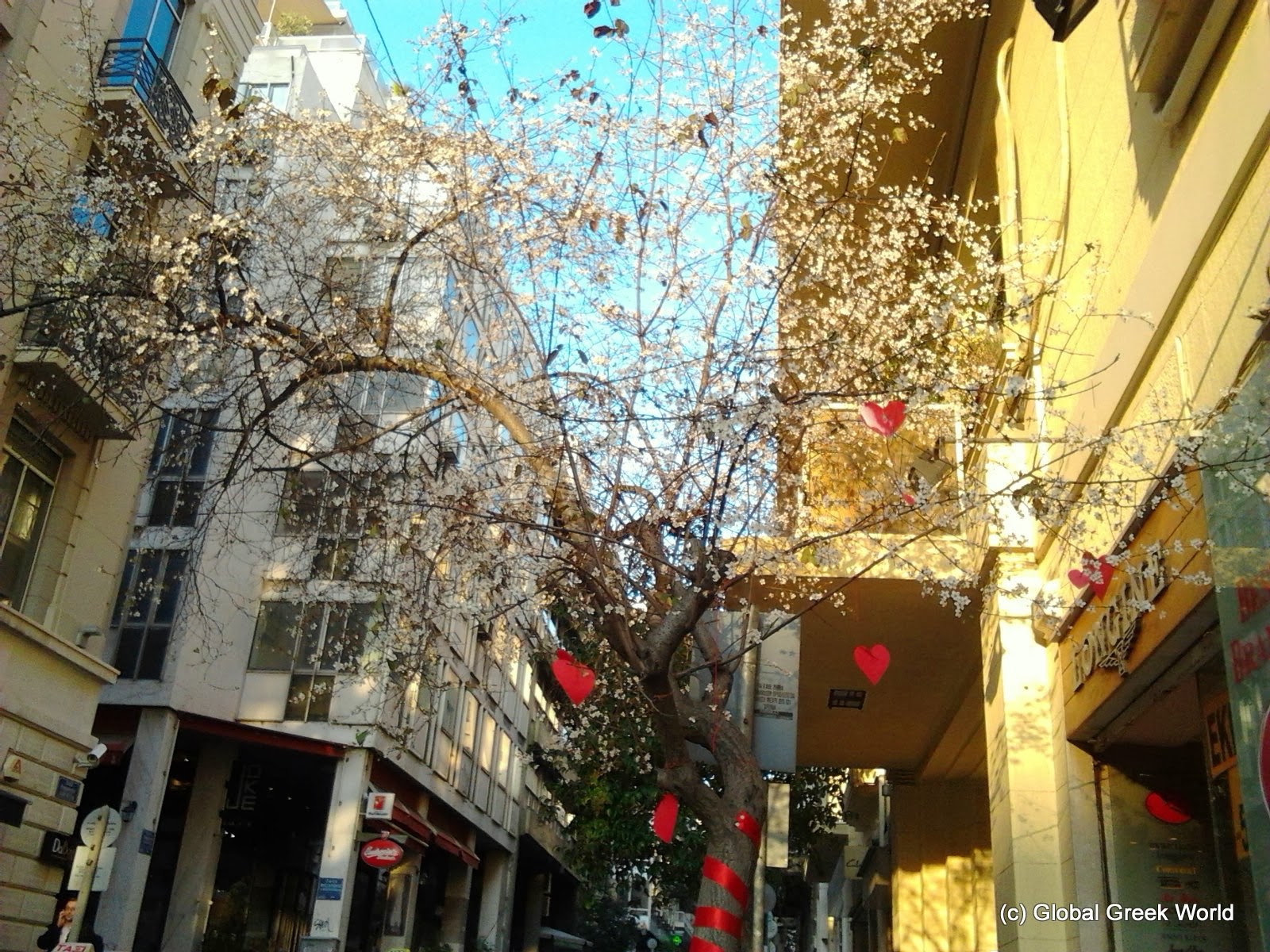 Global Greek World: Photo of the Day: Valentine's Day in Greece