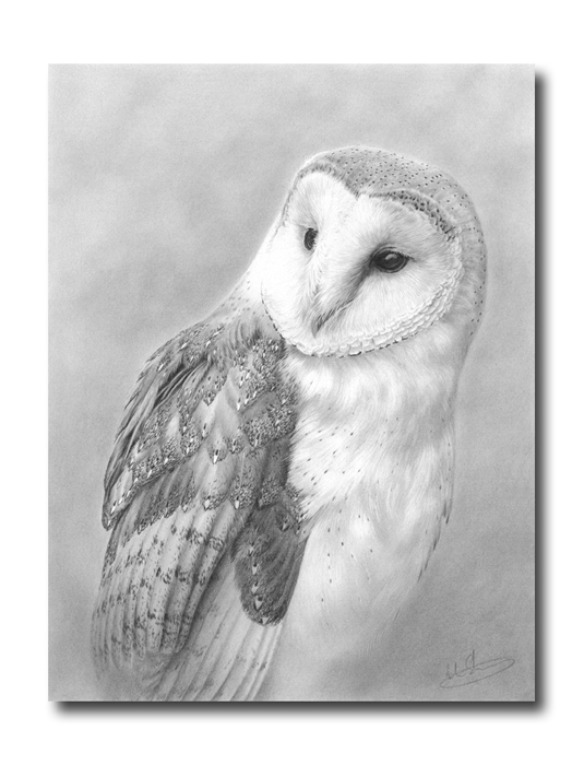 Nolon Stacey - A Pencil Artist's Blog: One complete, another begins.