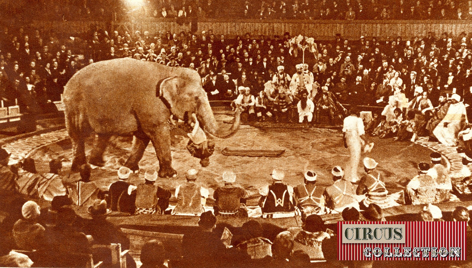 Circus -Collection: Les éléphants au cirque Knie 1930-1939