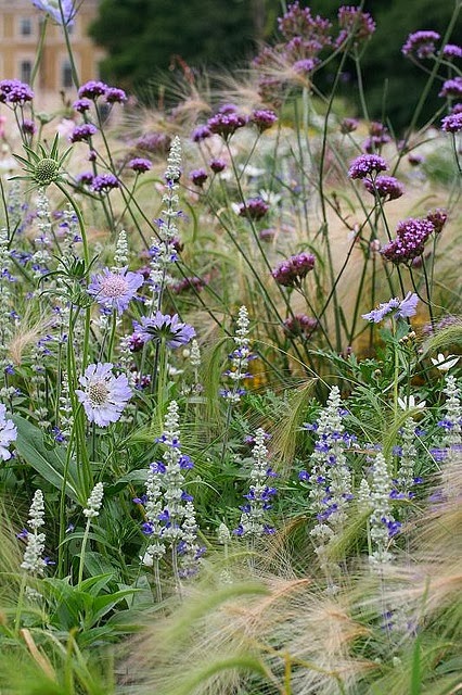 Meadow Planting | Fantastic Materials