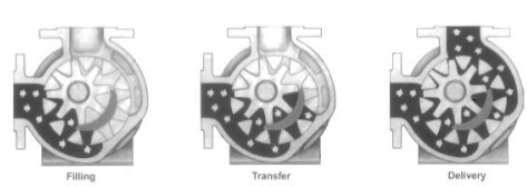 Pompa Roda Gigi (Gear Pump)