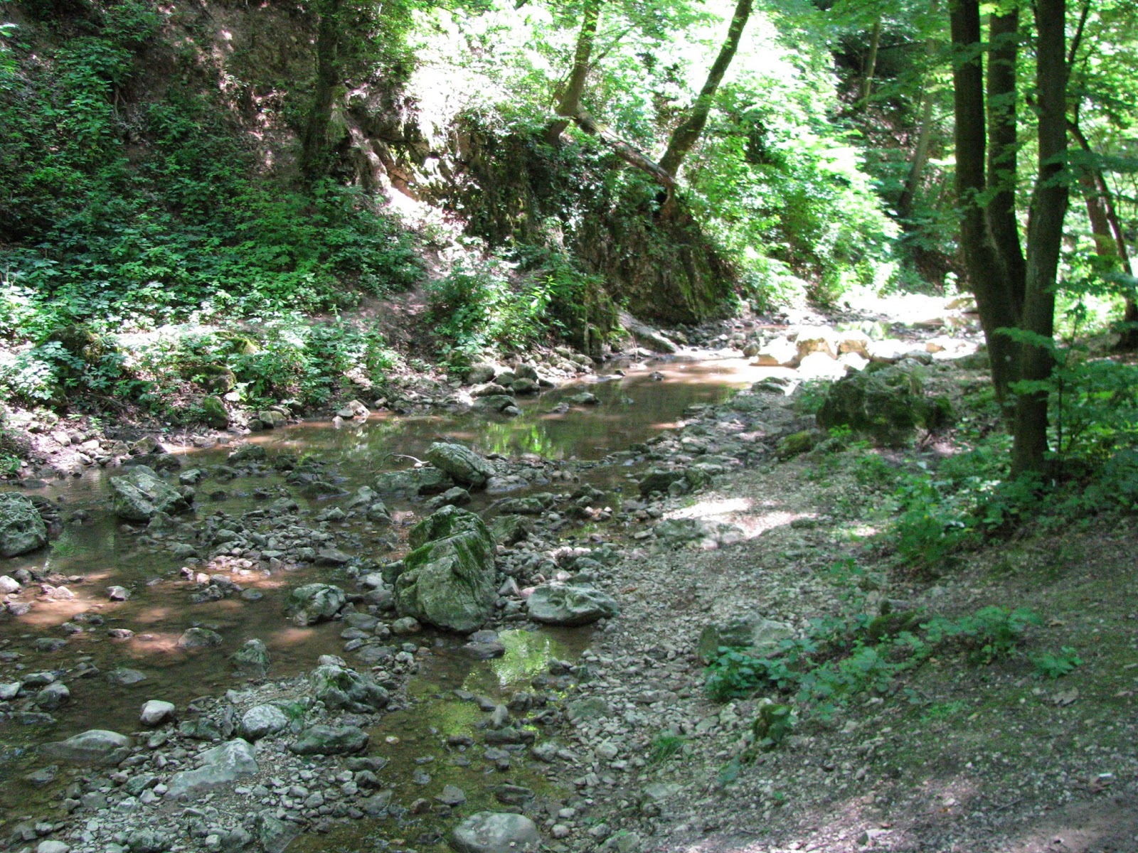 Magyar Kaland: Bakonyszentlászló, Vinye - Cuha-völgyi túra