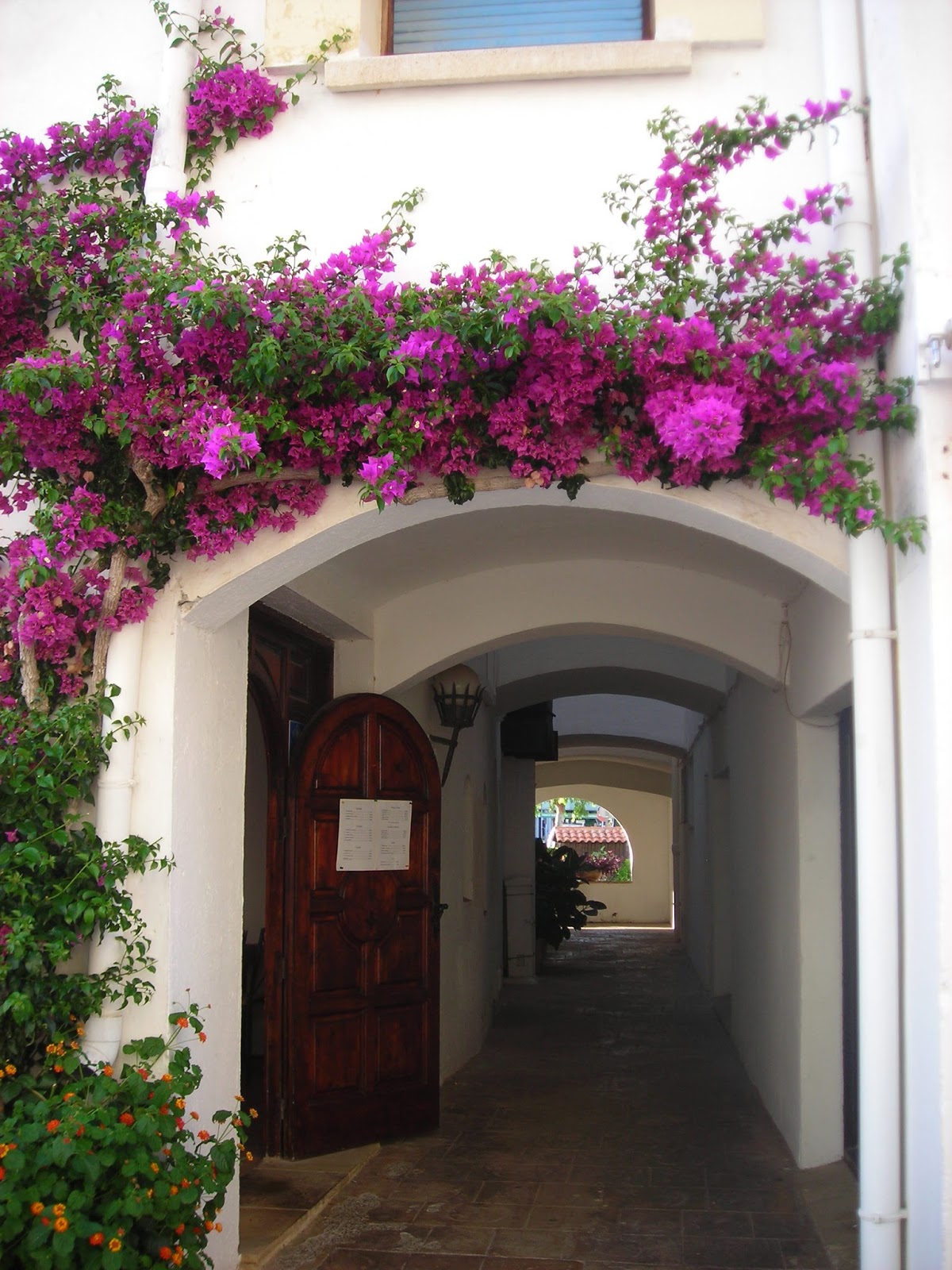 el valor de las personas: Camping Stel en Roda de Bara