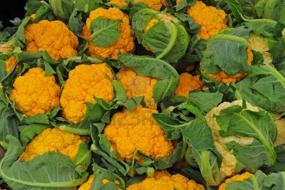 Brokoli Dan Fakta-faktanya | Apache Kingdom