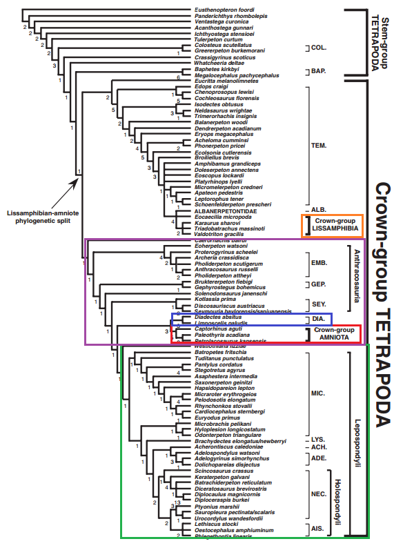 Palaeos, la historia de la Vida en la Tierra: Tres cosas que no sabías ...