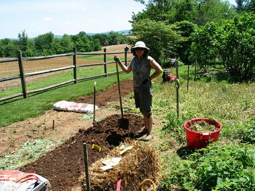 Get The Maximum Benefit In Limited Garden Space With French Intensive ...