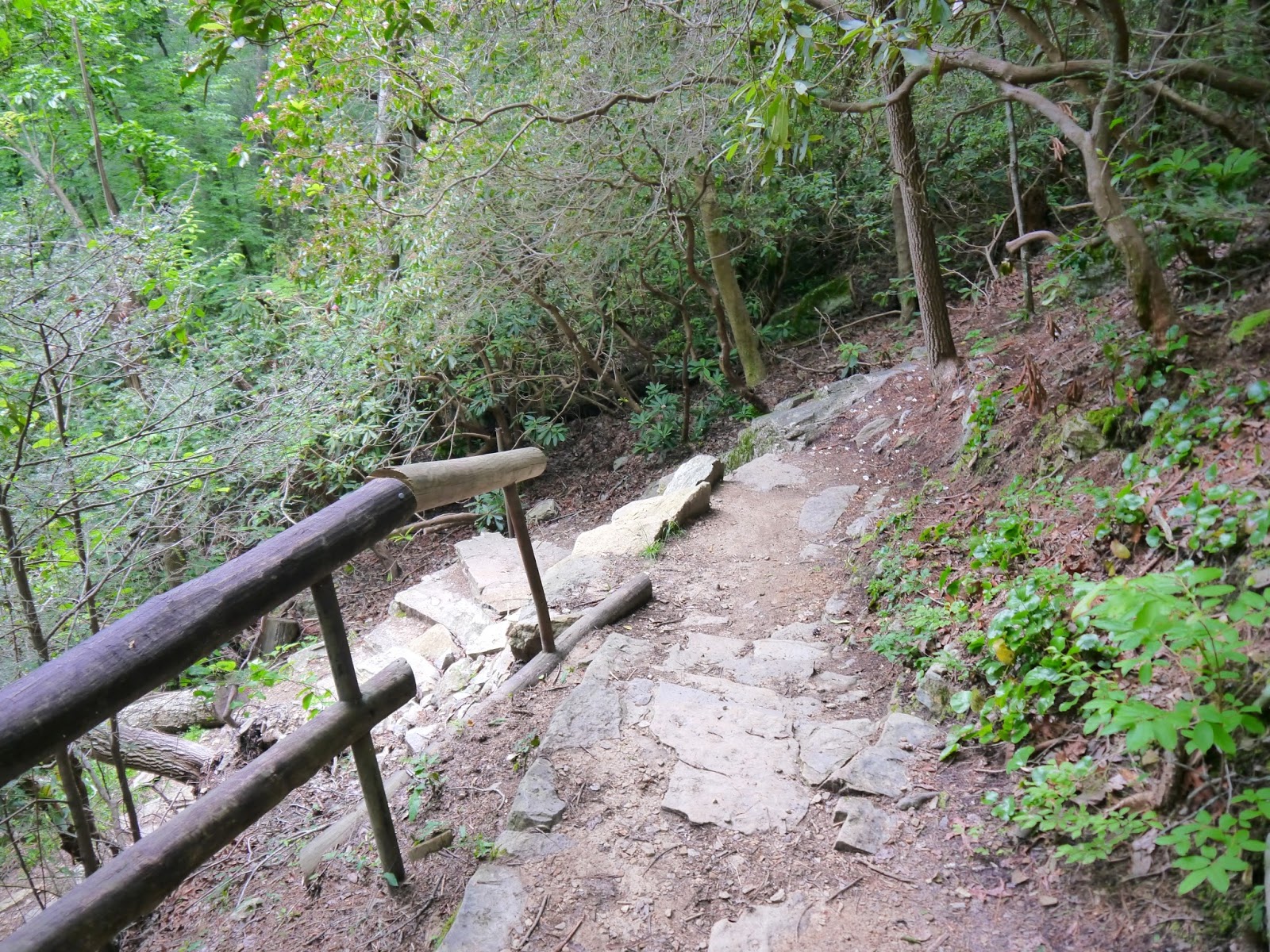 American Travel Journal: Benton Falls - Cherokee National Forest