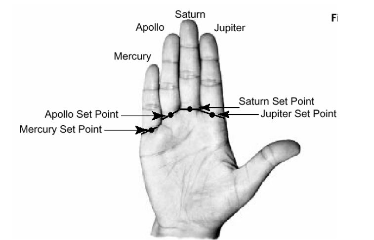 EASY PALMISTRY LESSONS FOR BEGINNERS ~ INDIAN PALMISTRY | PALM READING ...
