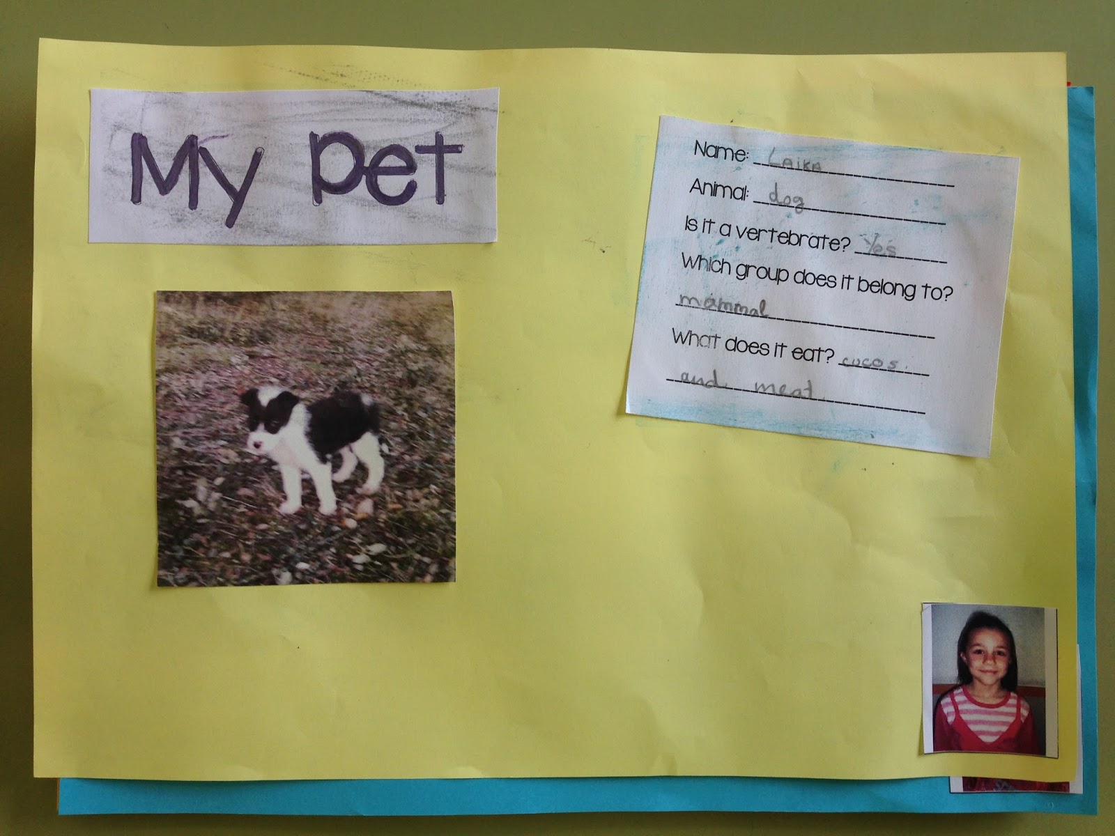 SCIENCE IN THE SCHOOL: My Pet