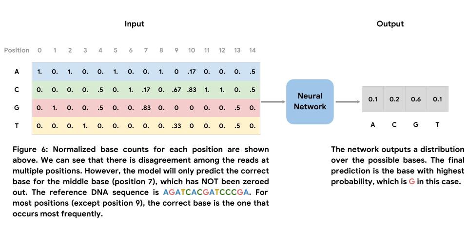 Using Nucleus and TensorFlow for DNA Sequencing Error Correction — The ...