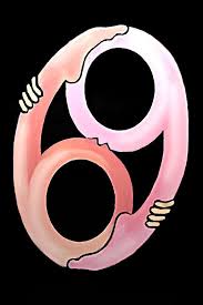 Significado Numero 69