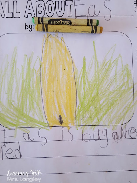 Kindergarten Research Projects | Learning with Mrs. Langley