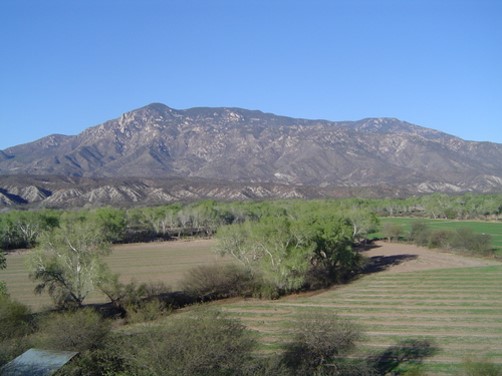 SONORA