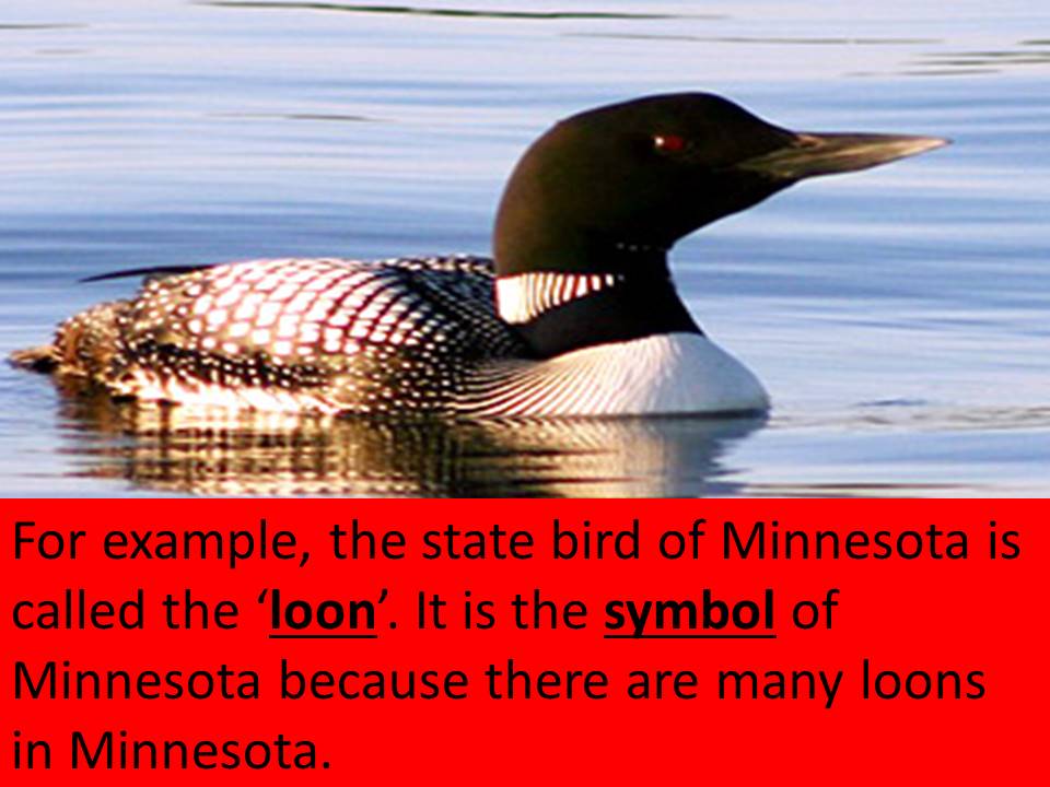 TAPIF LESSON: Saying Goodbye and a bit of Minnesota History - The ...